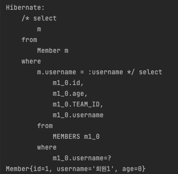 [TIL/JPA] 기본개념 : Named 쿼리 — 야리니의 step by step