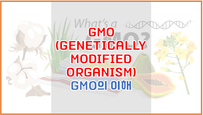 Understanding GMO (Genetically Modified Organism)