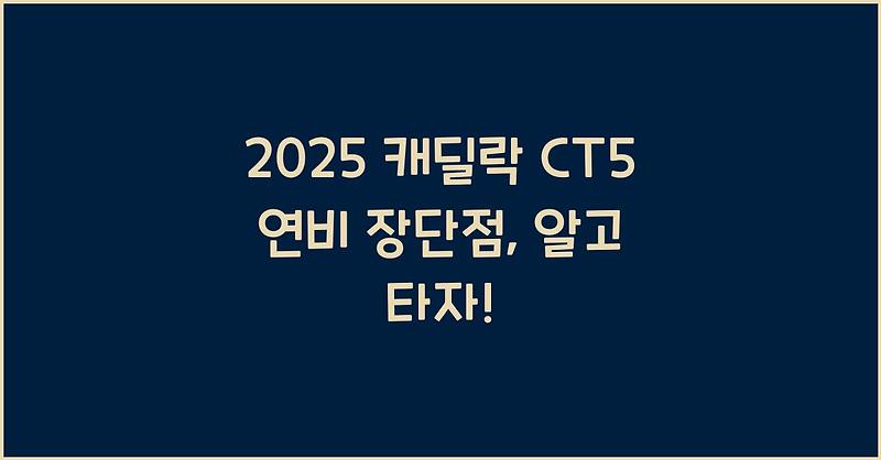 2025 캐딜락 CT5 연비 장단점, 알고 타자!