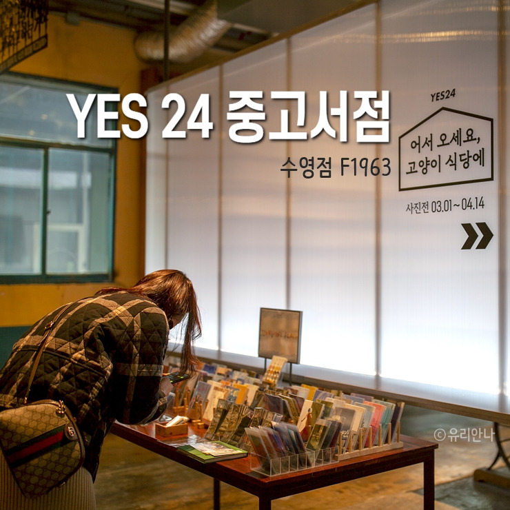 [부산여행] F1963 복합문화공간 / YES 24 중고서점 수영점