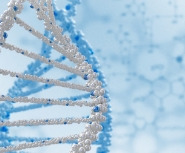 11번 염색체, 부분 삼염색체 11q(Chromosome 11, Partial Trisomy 11q) 증상과 원인, 치료