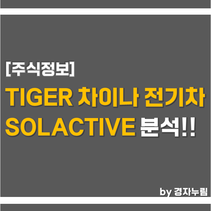[국내ETF] TIGER 차이나전기차SOLACTIVE 한방 정리