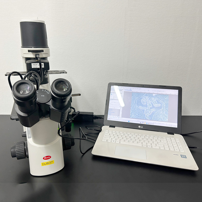 Motic AE2000 삼안 도립 현미경 (DJW37)