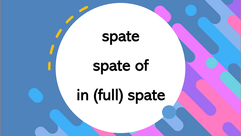 영어 공부 혼자 하기 spate / spate of / in (full) spate