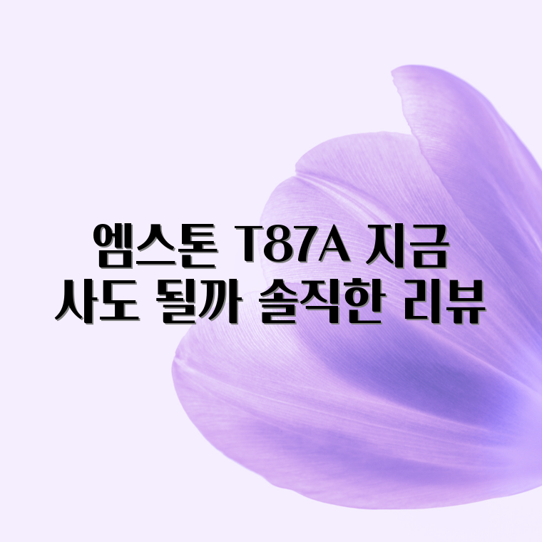 엠스톤그루브 T87A, 당신의 선택은 옳을까요?