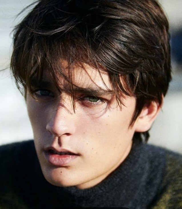 Remembering Alain Delon: The Legacy of a Cinematic Icon