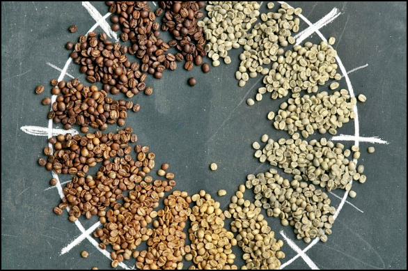 국제바리스타자격증 학원 선택 가이드 SCA, GCS, IBS 비교 및 추천