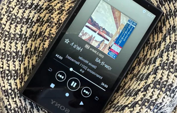 소니 워크맨 NW-A306 장단점 리뷰