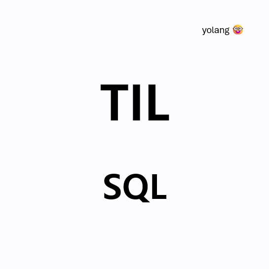 [2024.9.3] TIL - SQL 마스터 클라스, 코드트리 — 프로그래밍 기록장