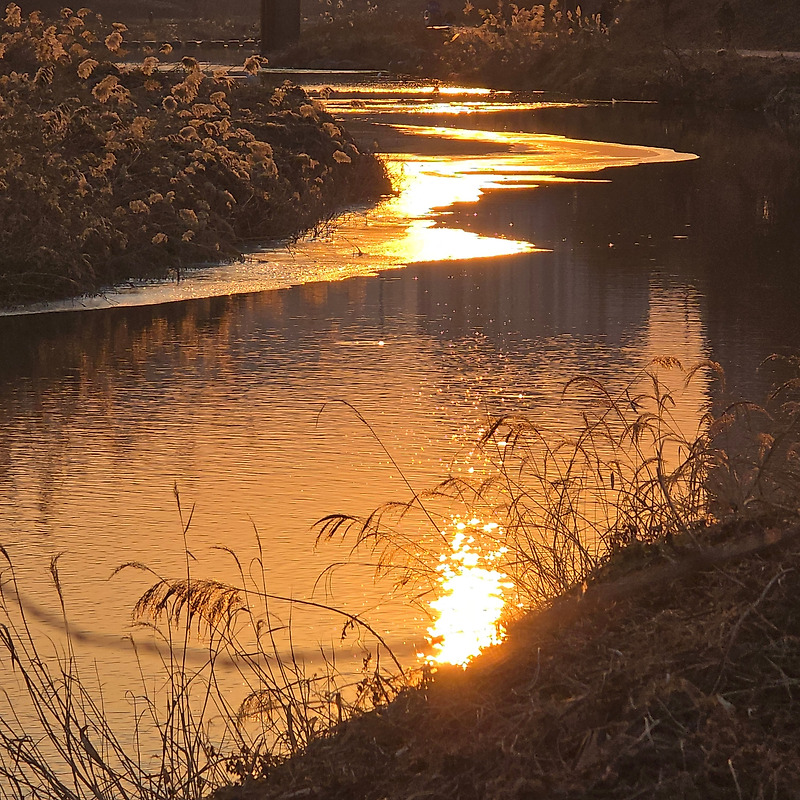[20250112]안양 학의천 석양, 또 하루가 머물어간다