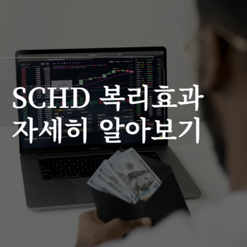 SCHD 1억을 투자한다면 받게될 배당금