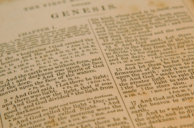 창세기(Genesis)7장