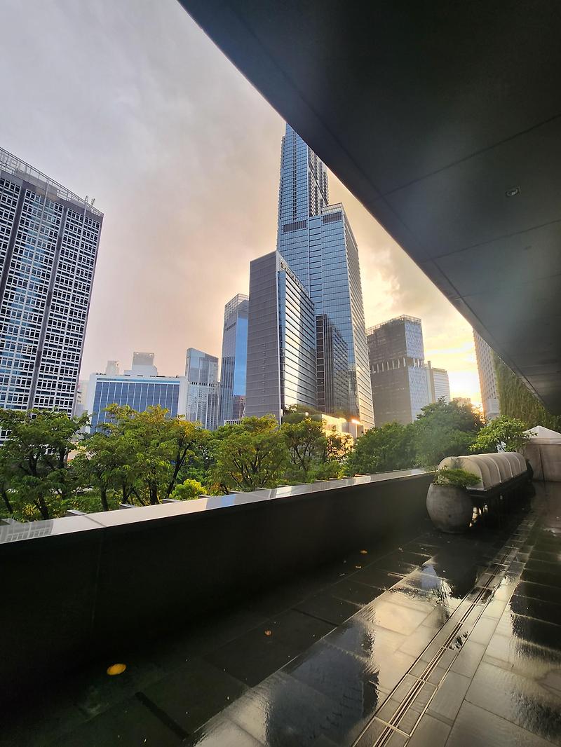 [빛 한 줄기] 여행은 시간 낭비가 아닌, 성장의 여정