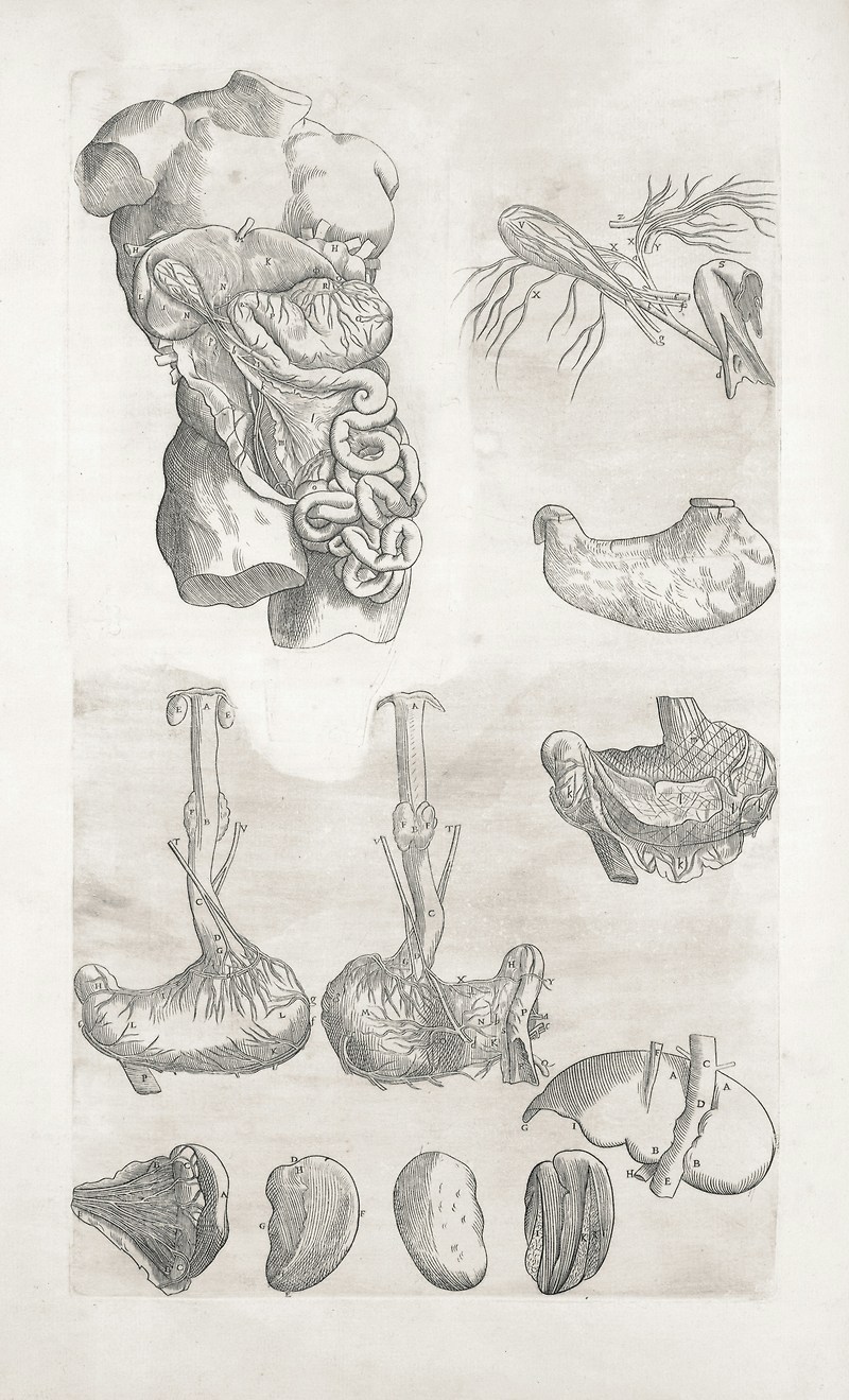 부위별 등통증원인과 증상 부위별스트레칭
