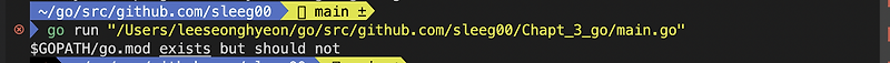 [Go] $GOPATH/go.mod exists but should not 오류 — 5% 남기기