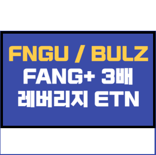 미국 3배 레버리지 ETF 수익률 (feat. FNGU, BULZ)