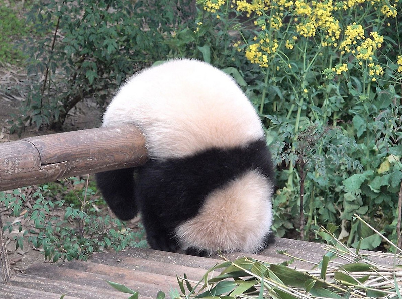 [iOS] UIView component #2 (UISlider, UISegmentedControl, UIScrollView, UIPickerView, UITableView ...