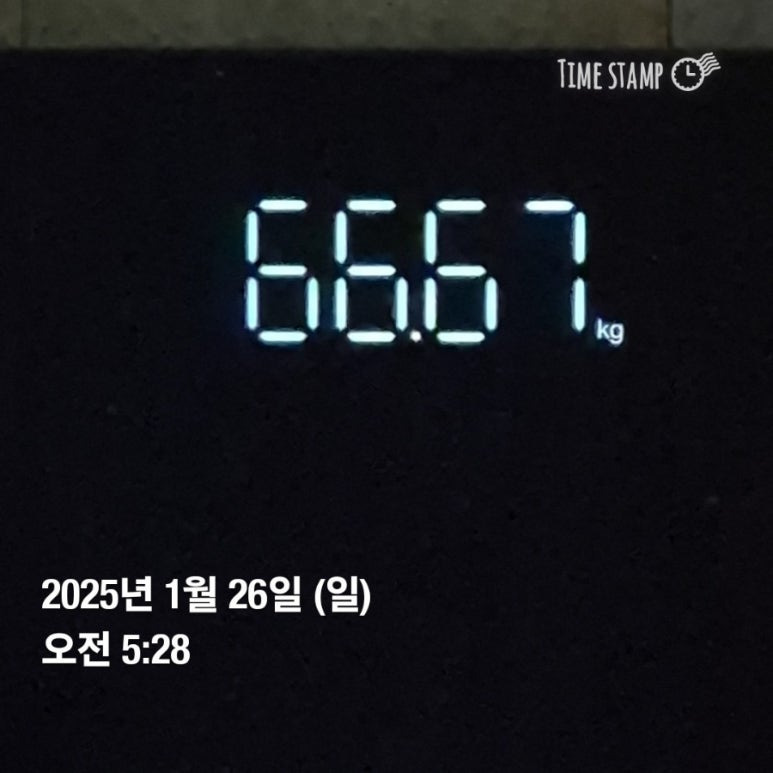 다이어트#7 (66.67kg)