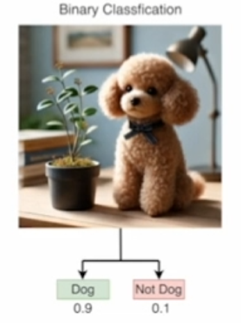 [인공지능] MLP(Binary, Multiclass, Multilabel Classification) - 1