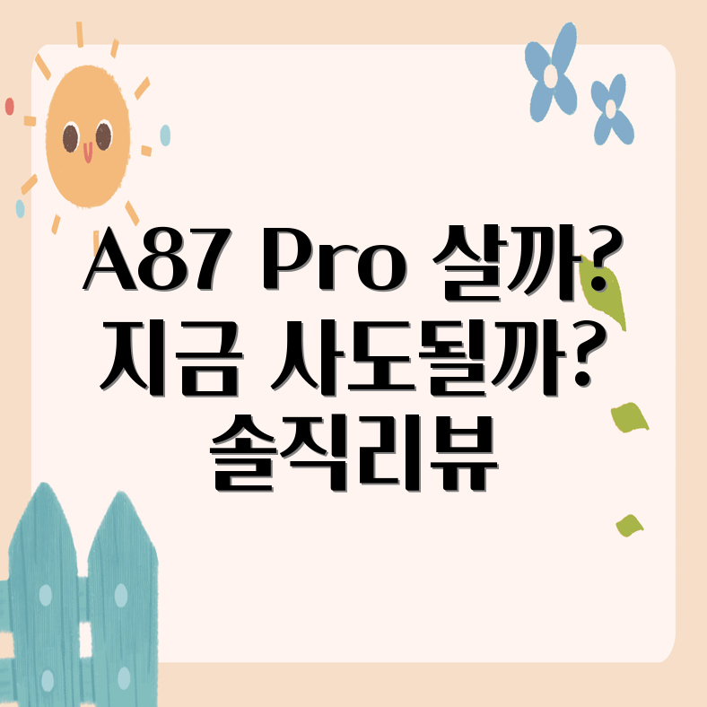 다얼유 A87 Pro, 지금 사도 괜찮을까?