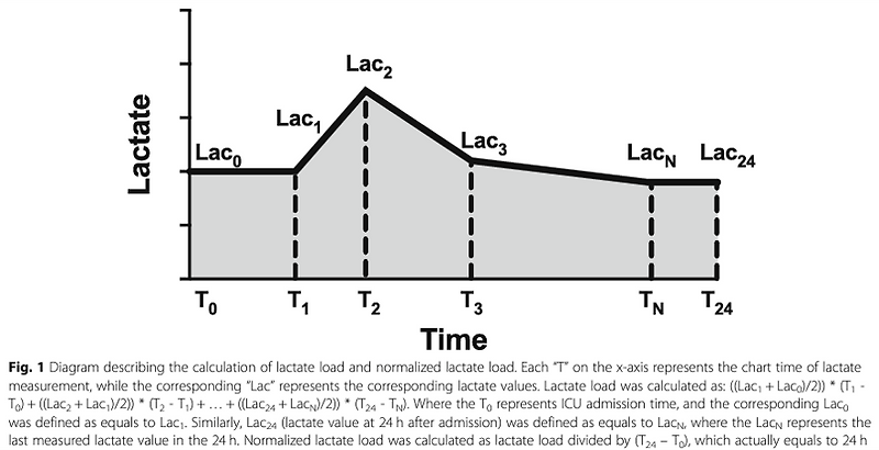 Septic shock(패혈성 쇼크) 환자에서 normalized lactate load와 사망률 간의 관계