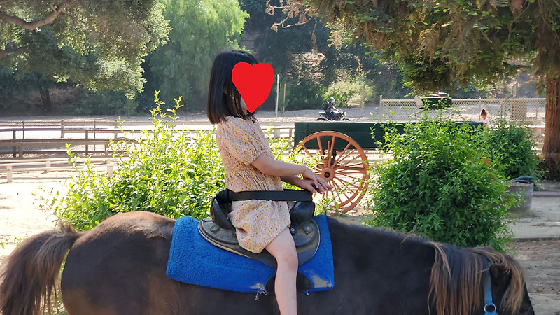 [LA] 아이들 말타기 체험/Griffith Park Pony Rides