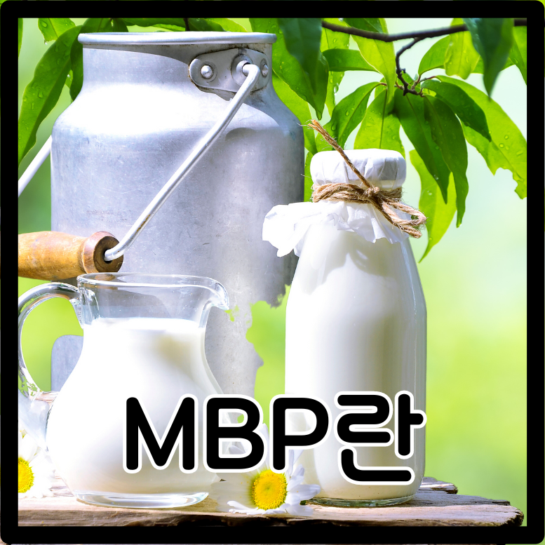 뼈엔 엠비피 MBP 뜻 뼈건강 비교