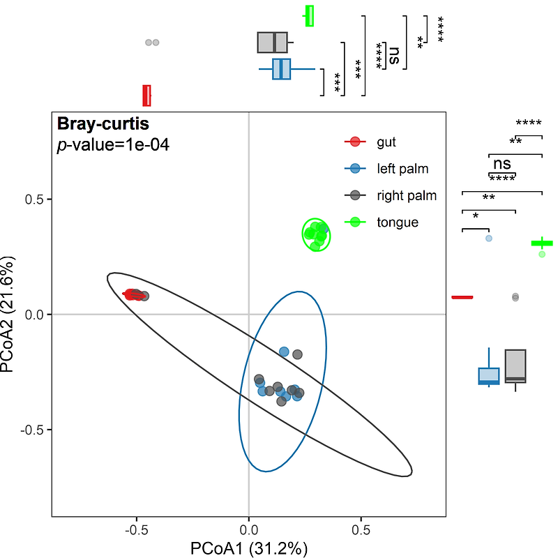 [R] PCoA 에 가장자리 plot 추가하는 5가지 방법 The five methods for beta diversity side panel — Bioinfo_newbie