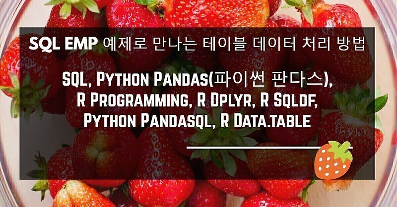 [데이터 정렬] 오름차순과 내림차순 정렬 - 165 (오라클 SQL, R, Python, SAS)