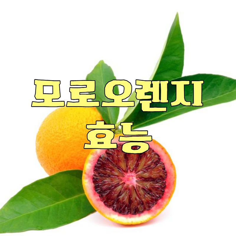 모로 오렌지 효능 성분 부작용