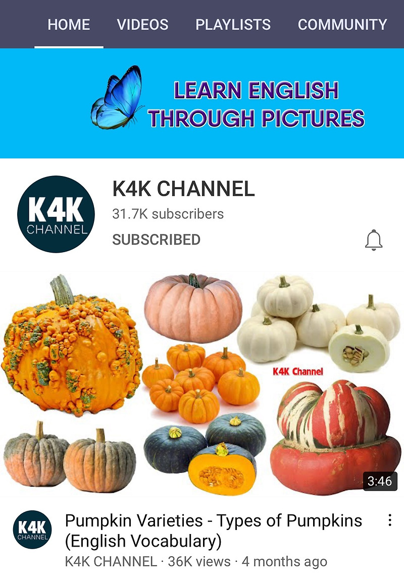 키즈 컨텐츠 / 영어 단어 공부 할 땐 K4K channel