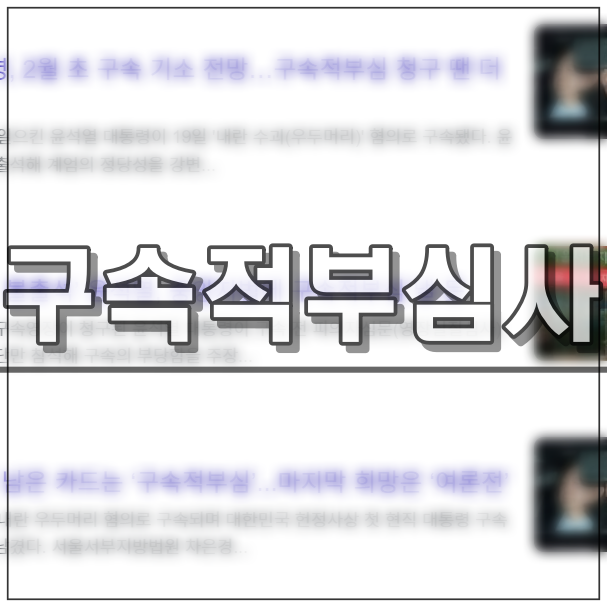 구속적부심 뜻, 체포 구속 적부심사제도란? 영장제도와 헌법으로 알기쉽게 알아보기