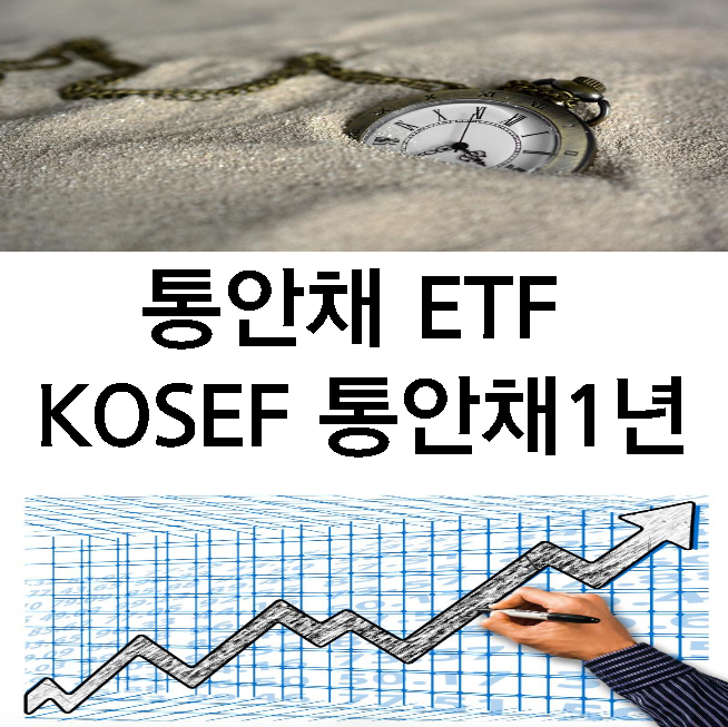 통안채 ETF KOSEF 통안채1년 배당금 및 종목분석