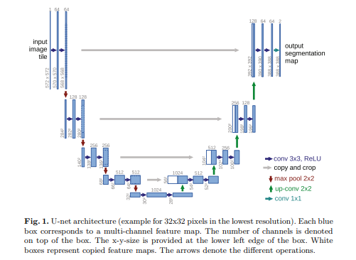 [Paper Review] U-Net: Convolutional Networks for Biomedical Image ...