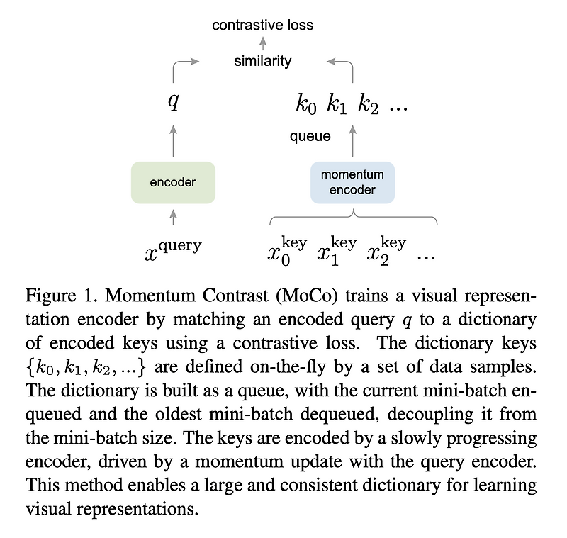 [CVPR 2020] Momentum Contrast for Unsupervised Visual Representation Learning (MoCo) — ShinyLab