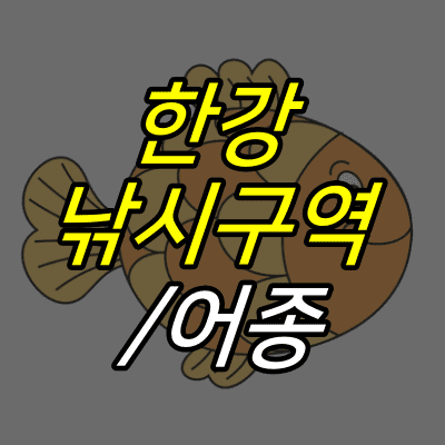 JUJULAND :: 한강 낚시 가능 구역, 어종