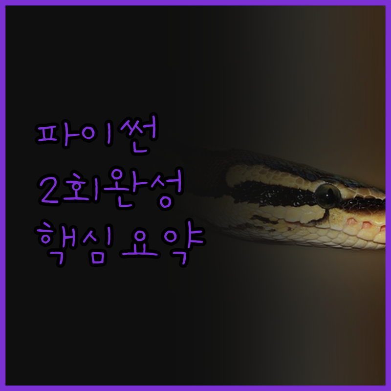 Python 프로그래밍 기초 단 2회 레슨으로 마스터하는 비법 공개