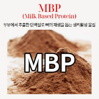 MBP란? 뼈 건강에 좋은 단백질 보충제 고르는 법과 효과적인 복용 방법 | nutriwise