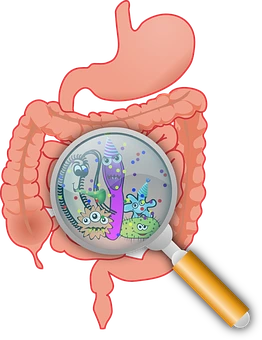 유렉스 프로바이오틱스(UREX Probiotics)가 여성의 건강에 좋은 이유와 어떠한 효능이 있을까