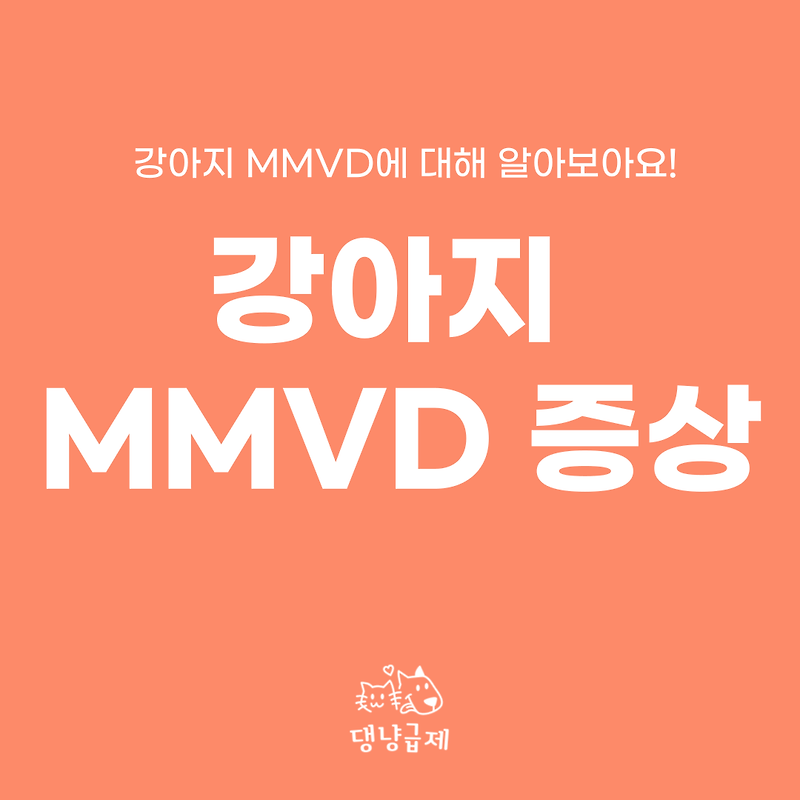 강아지 심장병: MMVD 증상과 기전