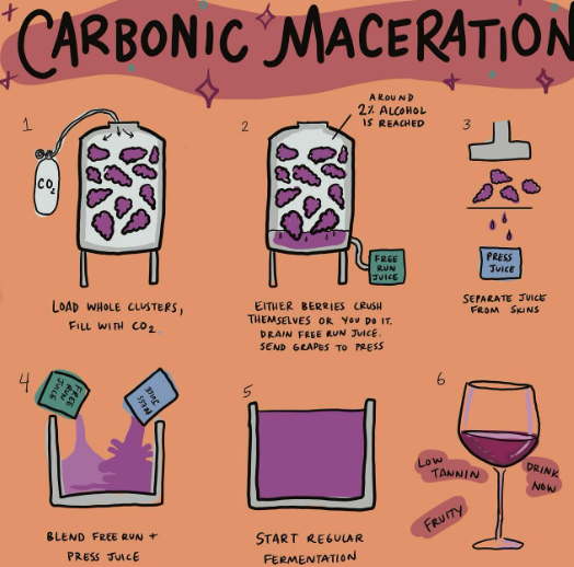 탄산침용 : Carbonic Maceration