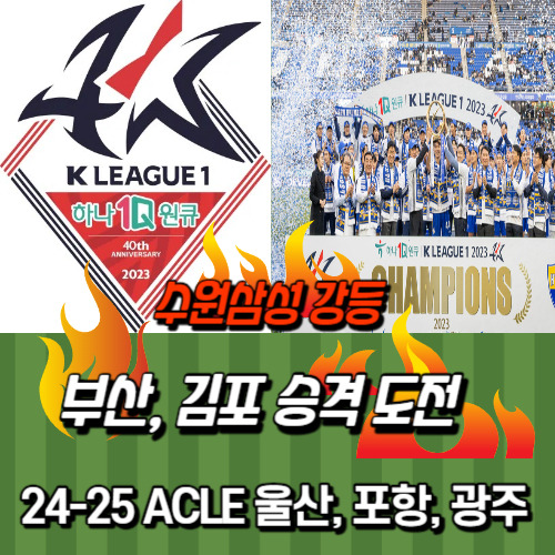 수원 삼성 강등‥부산·김포 승격 도전, 24-25 ACLE(아챔 엘리트)