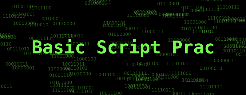 Basic Script Prac — Le nid