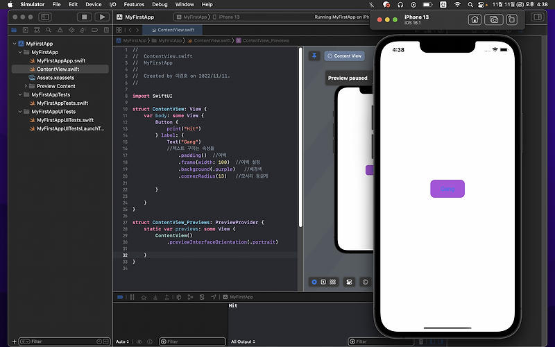 iOS Study : 2주차 내용정리 - SwiftUI