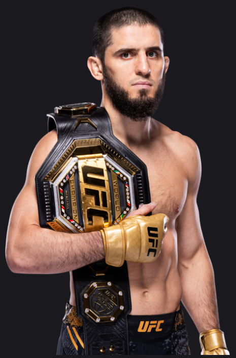 UFC 체급별 챔피언 확인하기