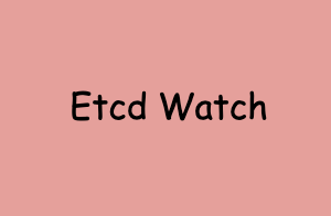 [Etcd] Watch 기능 알아보기 ( HTTP2, WatchCreateRequest ) :: 코딩수집