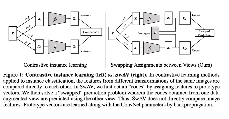 Unsupervised Learning of Visual Features by Contrasting Cluster Assignments :: Memorize