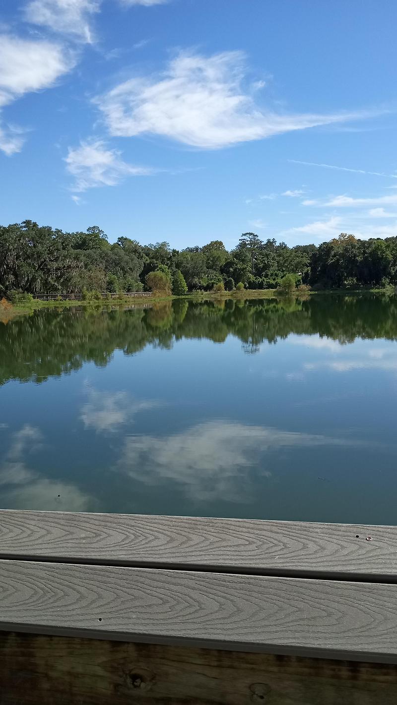 Pedrick Pond Park / Eastside Branch Library 탈라하시 도서관 공원
