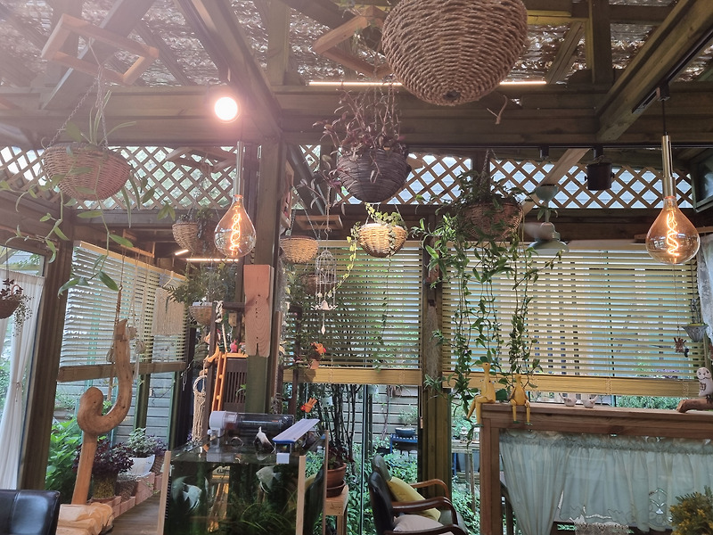 고창 힐링 여행 - 고창 카페 추천 [까멜리아] 방문 후기