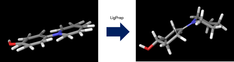 [13] Schrodinger Maestro : LigPrep